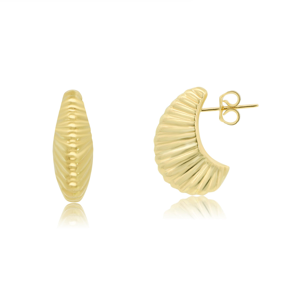 Seashell C-Hoop Earrings – The Lovery
